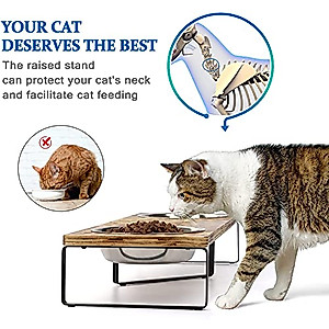 Cat Bowls Elevated Raised Cat Dog Bowl Stand with 2 Stainless Steel Cat Food Bowls for Cat Food and Water Bowls to Cats Small Dog Two Splicing Methods Carbonized Black