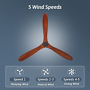 Chriari 70'' Ceiling Fan with Remote/App/Voice Control, Wood Ceiling Fan with 3 Walnut Blades and Reversible DC Motor, Supports 5 Speeds and Smart Timing, Compatible with Alexa/Google Assistant