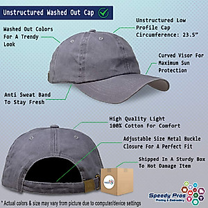 Vintage Washed Hat Anchor & Light House Delaware Embroidery Cotton Dad Hats for Men & Women Buckle Closure Grey