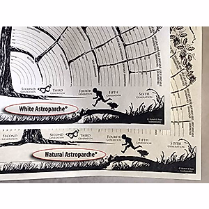 Family tree chart 2-per-order blank posters to be personalized w/genealogy, gifts for baby, men, women, grandparents, mother/father in-laws.