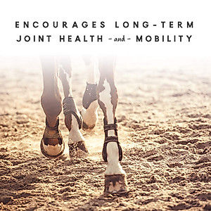 Manna Pro Cetyl-M Joint Supplement for Horses - Powered by Omega 5 Fatty Acids - 11.2 lb