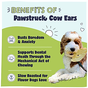 Pawstruck Natural Jumbo Cow Ears for Dogs - Healthy Rawhide Free, Highly Digestible Low Calorie & Long Lasting Dental Chew Treat for Small, Medium, Large Chewers - Pack of 10 - Packaging May Vary
