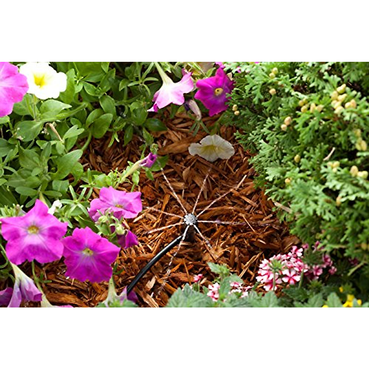 Rain Bird MBF4PKS Drip Irrigation Micro-Bubbler on Stake, 360° Full Circle Pattern, 0 - 3' Spray Distance, 4-Pack,Black