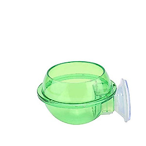 NA Reptile Food Bowl Anti-Escape Chameleon Bowl Cup Reptile Feeder Translucent Home Pet Feeder Supplies Accessories for Tortoise Gecko Snakes Chameleon Iguana