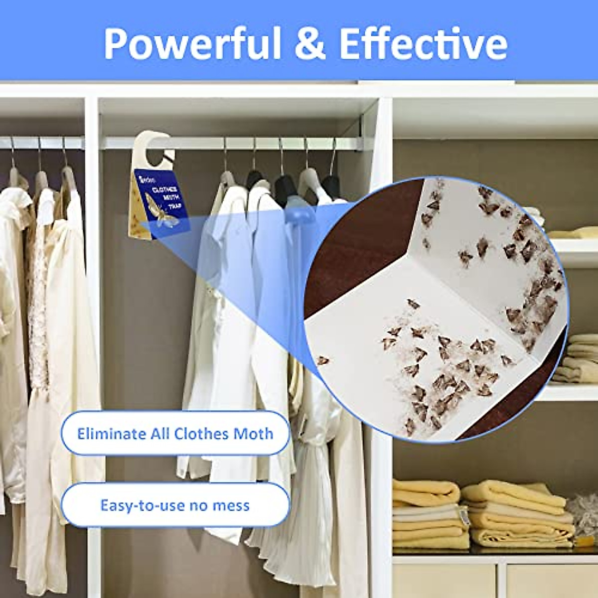 Redeo Clothes Moth Traps with Pheromones Non-Toxic and Odorless Sticky Glue Trap with Lure Clothing Moth Traps with Attractant for Closets and Carpet Indoor Moth Prevention, Safe for Kids and Pets (6)