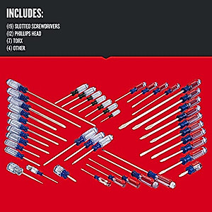 CRAFTSMAN Screwdriver Set, 42 Pieces, Acetate Handle, Made of Steel with Satin-Nickle Finish (CMHT65300)