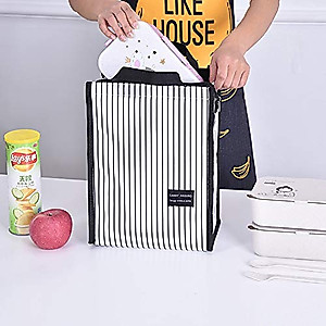 Pack of 2 Insulated Lunch Bag for Women Men, Stylish Lunch Tote Bag, Medium + Large Handbag with Zipper Lunch Box for Work, School, Shopping