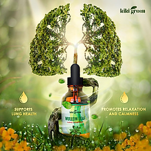 KIKI Green Liquid Mullein Leaf Tincture - Herbal Supplement from Mullein Herb for Lung Cleanse, Respiratory Health, Immune Support, Liquid Supplement Extract 2 fl oz
