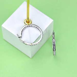 Rnivida Stainless Steel Hoop Earrings Silver Tone Inside-Out Crystal Cz Rhinestone Hoop Earrings for Women 30mm