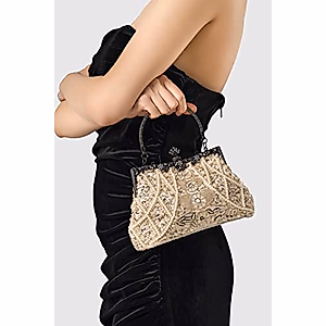 BABEYOND Evening Clutch Purses for Women - 1920s Accessories for Women Gatsby Evening Bag Vintage Beaded Sequin Pearl Clutch