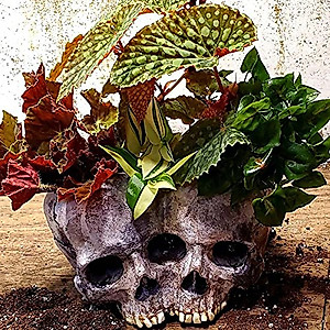 BEFOKA Resin Skull Planter, Gothic Retro Skull Head Flower Succulents Pot, Outdoor Indoor Garden Planter, Gothic Statue Sculpture Skeleton Decor (A)
