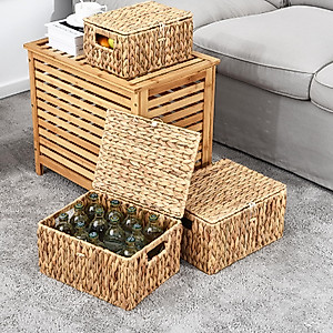 FairyHaus Wicker Storage Basket with Lid, Water Hyacinth Wicker Basket with Lid and Handles, Large and Small Wicker Baskets with Lids 2Pack, 13"x10"x7" & 11.2"x8.3"x5.7"