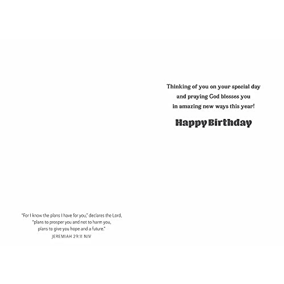 DaySpring - God’s Plan is Good – Birthday – 4 Design Assortment with Scripture – 12 Happy Birthday Cards & Envelopes (J9174)