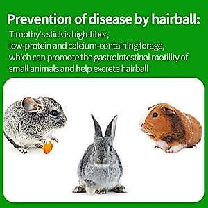 NC Timothy Hay Sticks for Rabbits Guinea Pig Hamsters Chinchilla Bunny Chew Toys for Teeth Treats Accessories