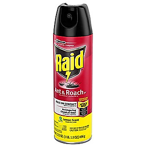 Raid Ant & Roach Killer Lemon Scent, 17.5 OZ (Pack - 3)