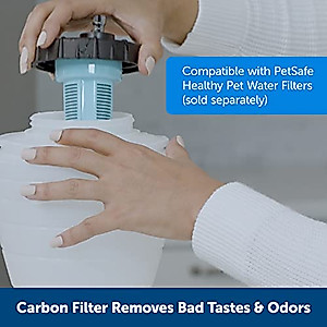 PetSafe Healthy Pet Water Station - Small, 64 oz Capacity - Gravity Cat & Dog Waterer - Removable Stainless Steel Bowl Resists Corrosion & Stands Up to Frequent Use - Easy to Fill - Filter Compatible