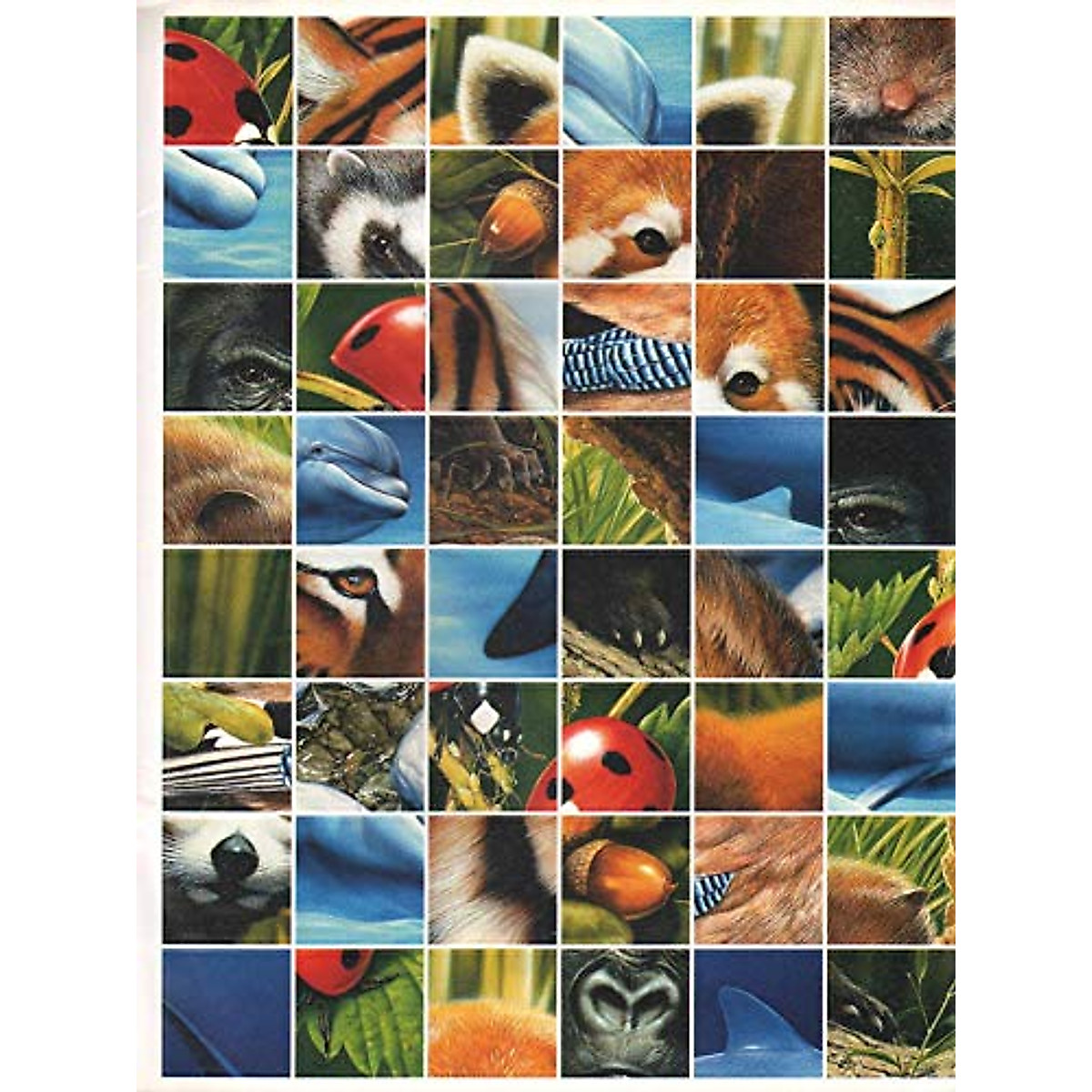 3 PACK Amazing Animal Puzzle Stickers 1,2 & 3