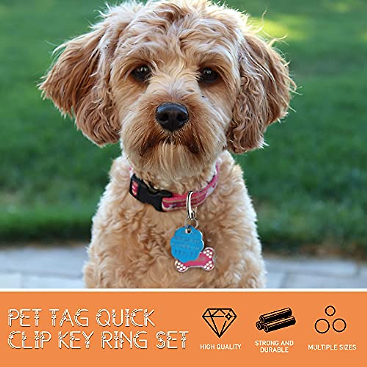 18 Pieces Leash Dog Tag Clip Pet ID Tag Pet Tag Clip Quick Clip Combos Durable Dog ID Tag with Rings, Stainless Steel Quick Clips Pet ID Tag Holder for Dog Cat (Silver, 1.9 Inch，1.3 Inch，0.8 Inch)