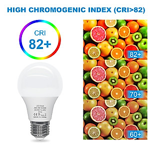 ORALUCE 12V LED Light Bulb Low Voltage,AC/DC 12-24V A19 E26 LED Bulb 60 Watt,6500K Cool White 12 Volt Light Bulb 6W,for Solar Battery System Lighting Marine Boat RV Camping Landscape Garden,6P