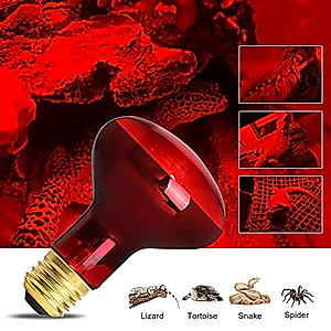 AOMRYOM 75W Infrared Basking Spot Heat Lamp Bulb Red Light Heat Bulbs for Pet Lizards Bearded Dragons Chameleons Snakes Reptiles & Amphibians - 2 Pack
