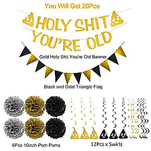 Holy Shit You're Old Banner Decorations Kit - 20Pcs - Gold Funny Adult Birthday Party Decor Sign for 30th-40th-50h-60th-70th-80th-90th Birthday - Including Holy Shit You're Old Banner, Triangle Flag, 12Pcs Swirl, 6Pcs Poms