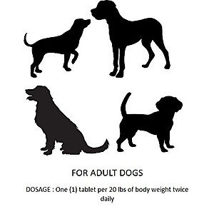 Stool Eating Deterrent with Yucca Schidigera Extract for Dogs