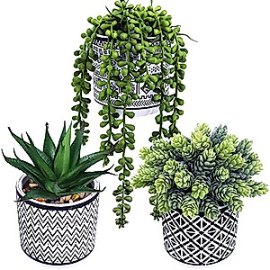 Winlyn 3 Pcs Small Potted Succulents Plants Artificial String of Pearls Aloe Hops Succulents in Black Geometric Concrete Pots for Gifts Modern Home Bathroom Window Table Indoor Outdoor Greenery Décor