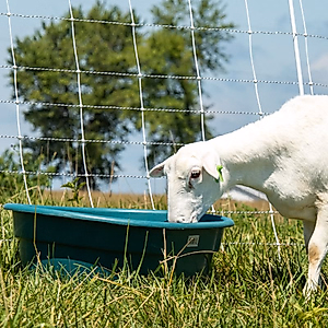 Premier 1 BlueLite Sheep & Goat Electrolytes