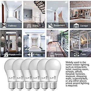 AmeriTop A19 LED Light Bulbs- 6 Pack, Efficient 14W(100W Equivalent) 1600 Lumens General Lighting Bulbs, UL Listed, Non-Dimmable, E26 Standard Base (5000K Daylight)