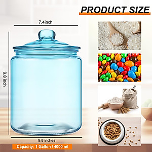 Tioncy 2 Pcs 1 Gallon Cookie Jar Glass Jars Apothecary Storage Glass Containers with Lids Large Clear Airtight Glass Canisters with Labels for Kitchen Laundry for Cookie Candy Sugar Flour (Blue)