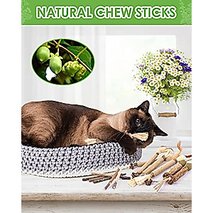 Catnip Chew Toys for Cats, 12 Pack Natural Silvervine Sticks for Kittens Teeth Cleaning, Matatabi Dental Care, Increase Appetite, Calm Cat Anxiety and Stress, Aggressive Chewers Cat Dental Toy