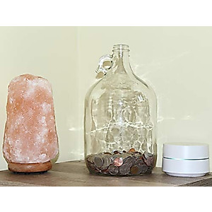 Skywin Swear Jar - Large Glass Money Jar and Adult Piggy Bank for Storing Coin & Change