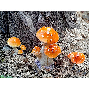 3 Pack Fairy Garden Miniatures Decoration Orange Mushroom Resin DIY Garden Ornament Micro Landscape Mini Dollhouse