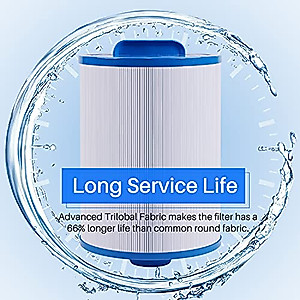 POOLPURE Replacement Filter for PWW50P4, 1 1/2" MPT Thread Screw in Filter, 2 Pack