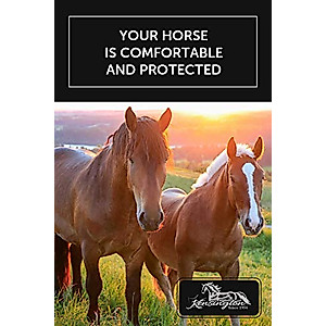 Kensington Fly Mask with Fleece Trim for Horses — Protects Face and Eyes From Flies and UV Rays While Allowing Full Visibility — Breathable and Non Heat Transferring Makes it Perfect Year Round, Large, Deluxe Black Plaid