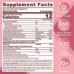 Sugar Free Calcium Magnesium Zinc Gummies, Algae Calcium Magnesium Supplement Plus D3 | 4 Forms of Magnesium - Glycinate, Citrate, Malate, Algae - Support Bone Health, Muscle Function & Nerve, 60 Ct