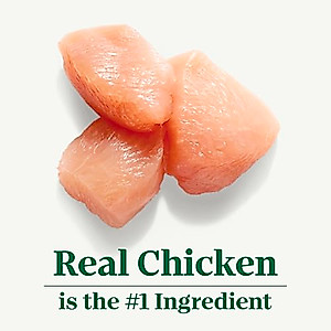 Nutro Core Dry Dog Natural Choice Chicken & Brown Rice Recipe, Dry Dog Food for Large Breed Puppies, 13 lb. Bag