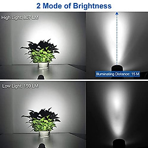 T-SUN 2W Solar Spotlights, LED Solar Powered Landscape Lights Outdoor Waterproof Solar Security Wall Lights Auto ON/Off Dual Head Light for Garden Yard Patio(Cold White)