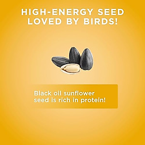 Audubon Park 10427 11286 Black Oil Sunflower Seed Wild Bird Food, 20 lb