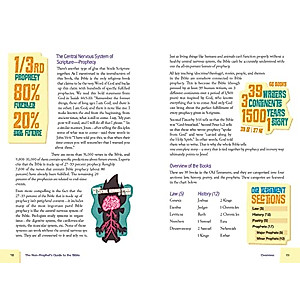 The Non-Prophet's Guide to the Bible: A Visual Journey Through God’s Story...and Where You Fit In