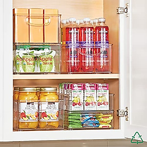 iDesigniDesign Recycled Plastic Extra-Large Bin, 10” x 8” x 5 & Cabinet Binz Divided Rotating Turntable Tea Packet Organizer, 9" x 9" x 3.01", CleariDesign