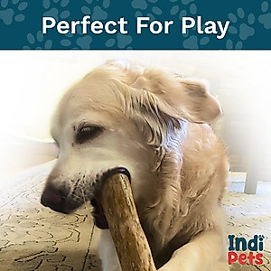 INDIPETS Coffee Wood Dog Chew Stick Stress Relief Toy: Natural Durable Real Wooden Bone Sticks for Dogs, Safe Dental Cleaning Chews for Teething Puppy | X-Large, Natural (PN: 50017)