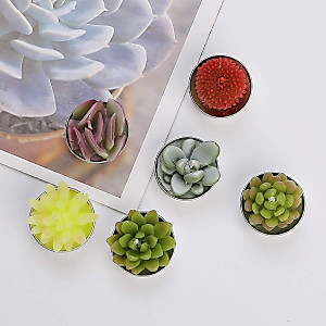LJQizn 6pcs Cactus Tealight Candles Handmade Delicate Succulent Cactus Candles Tea Lights Perfect for Birthday Party Wedding Spa Home Decor Gifts (6pcs Cactus Candles)