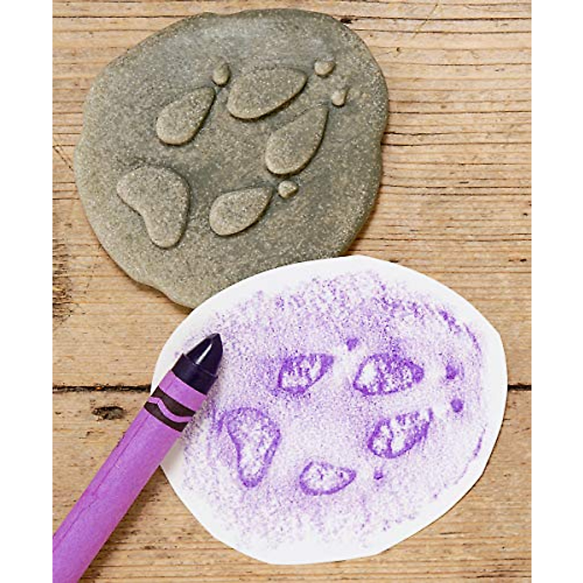 Yellow Door Let’s Investigate Woodland Footprints Double Sided Stones with Animal Tracks and Animal Picture, Create Fun Animal Games with Fossil Set, Stone, Set of 8, Toddler Toys for 3 Years & Up