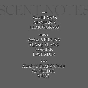 Antica Farmacista Room Spray, Lemon, Verbena and Cedar 3.4 Fl Oz