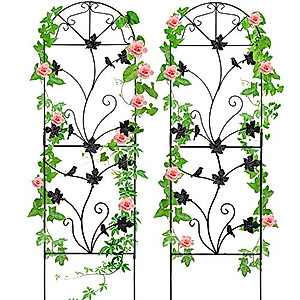 2 Packs 64"x17" Metal Garden Trellis for Climbing Plants Rustproof Sturdy Black Iron Trellis Plants Support Outdoor for Climbing Vegetable Rose Potted Plants Flower Cucumber Clematis