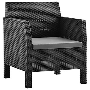 ZQQLVOO Patio Chairs with Cushions,Armchair,Dining Chairs,Leisure Chairs,Garden Chairs,for Swimming Pools,Decks,Gardens,Backyards,2 pcs PP Rattan Anthracite