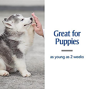 PetArmor Sure Shot Liquid De-Wormer for Dogs and Puppies, Liquid De-Wormer Treats Roundworms & Hookworms in Dogs and Puppies 2 Weeks and Older, For Dogs Under 120 lbs, 2 ounces