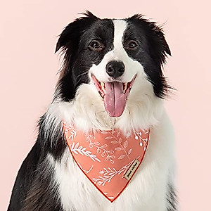 Paws Wishes Dog Bandana 2 Pack, Blossom and Leaves Set Vintage Garden, Pet Friendly Design, Hair and Water Resistant, Adjustable Dog Scarf for Small Boy Girl Dog