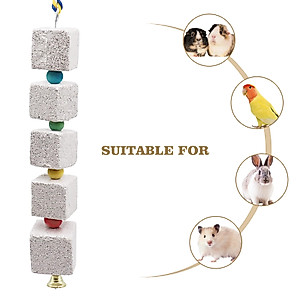 2 Pack Large Bird Chewing Toy, Parrot Beak Grinding Calcium Stone with Bells, Bird Cage Accessories, Cage Toys for Cockatiel Parakeet Parrot Budgies Rat Hamster Chinchilla Rabbit Bunny African Grey